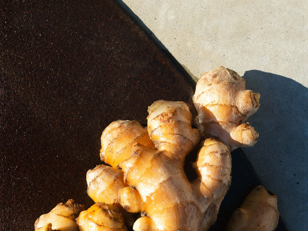 Ginger – SHIRO US Online Store