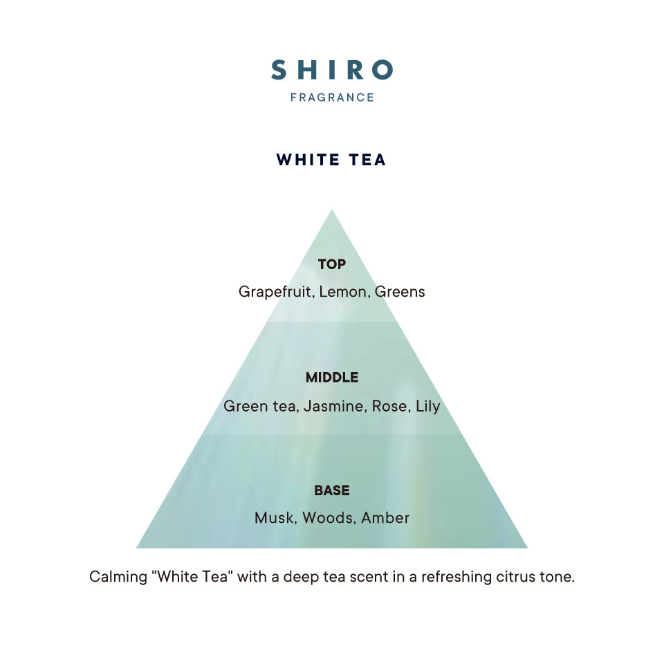 WHITE TEA HAND SERUM – SHIRO US Online Store