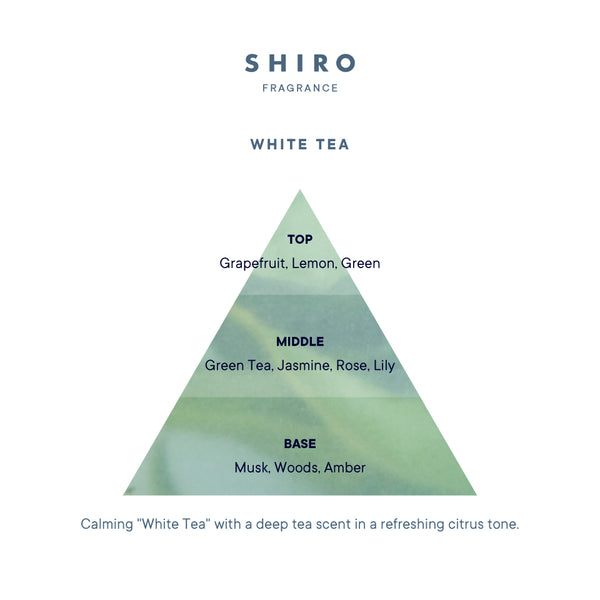WHITE TEA BATH SALT – SHIRO US Online Store